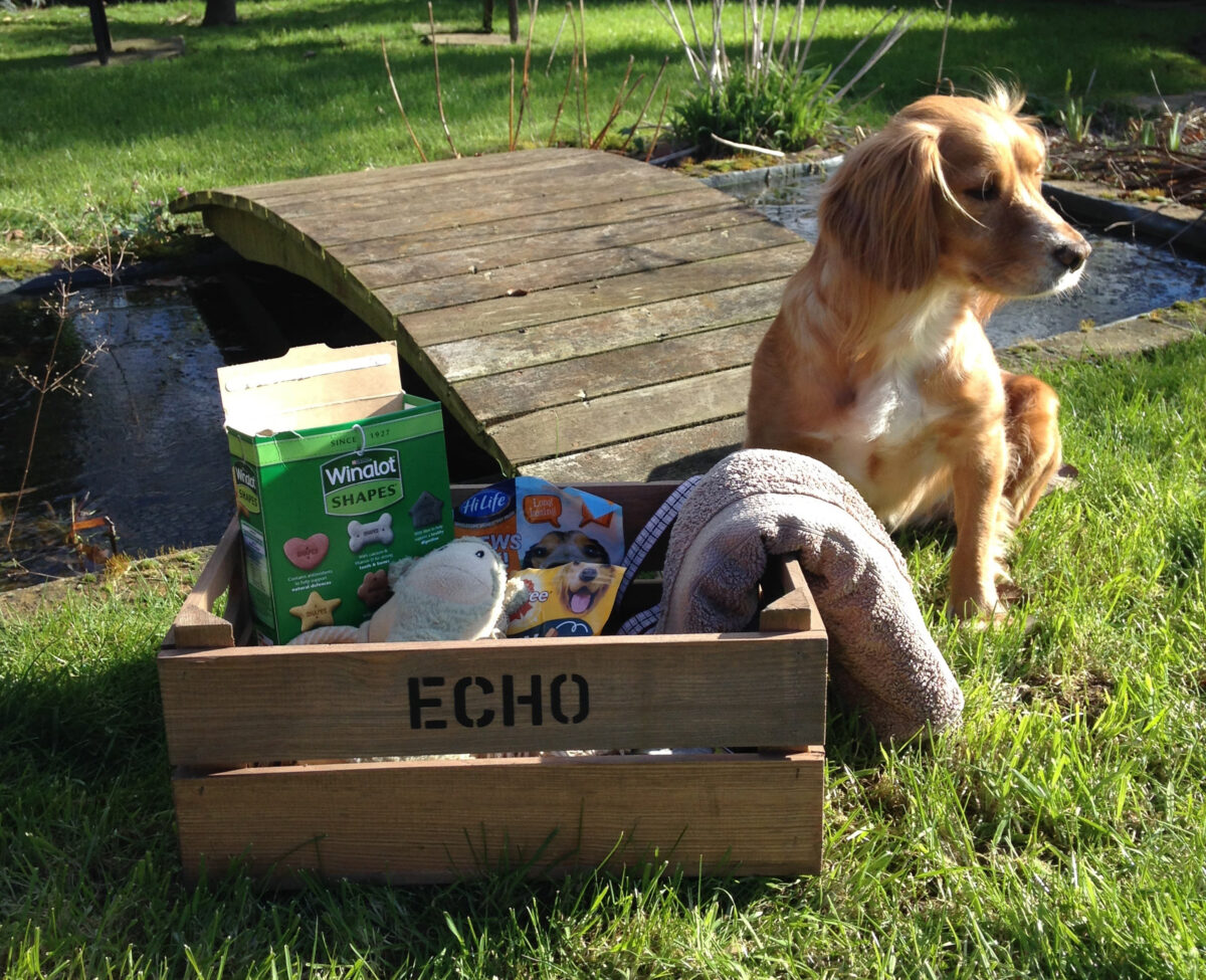 Personalised Toy Crate for Cats | Personalised Cat Toy Box - Vintage Crates